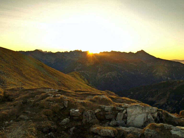 Code for Science - UNIVERSEH